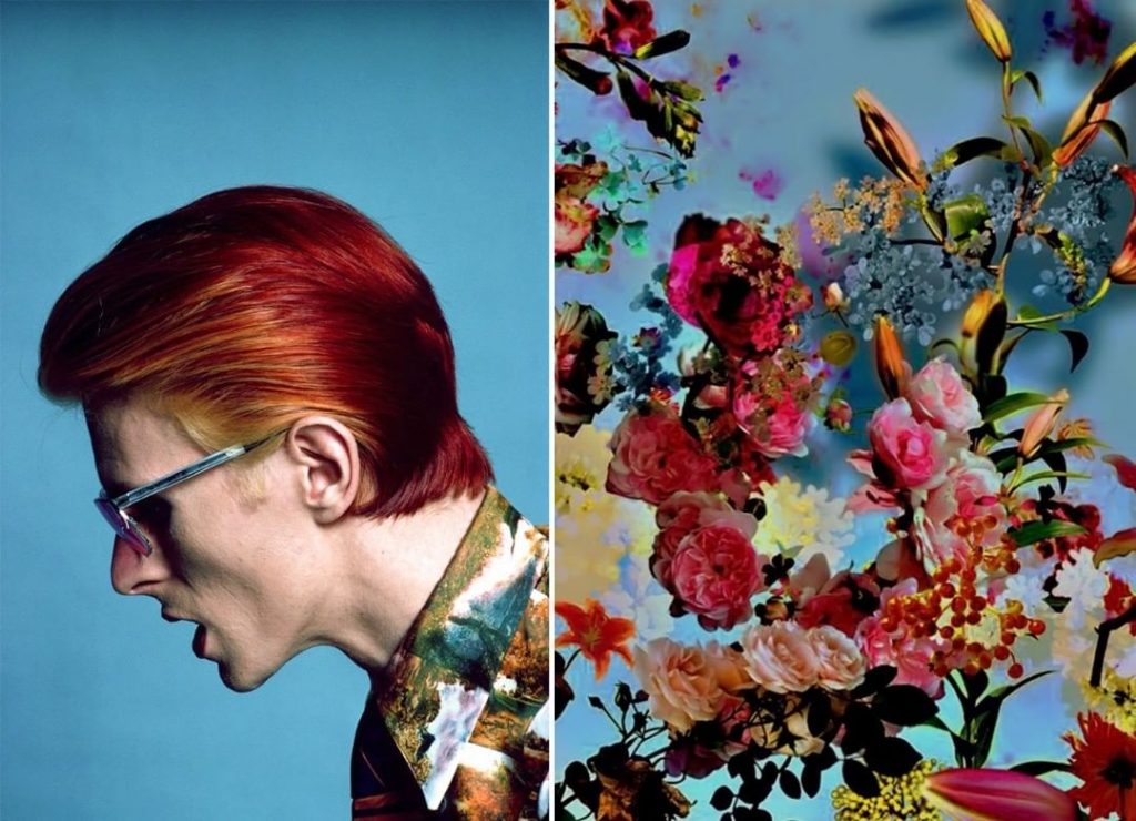 David Bowie como flores – Famosos y Virales