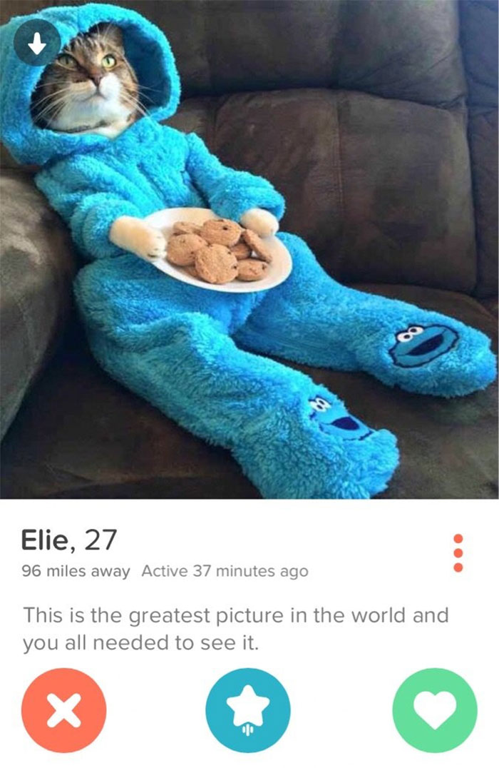 ¡21 perfiles de Tinder que son oro puro! – Famosos y Virales