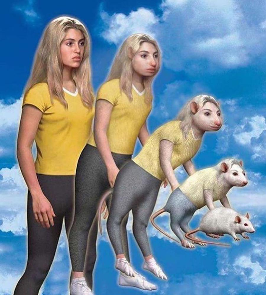 ¿Recuerdas los Animorphs de los 90? – Famosos y Virales