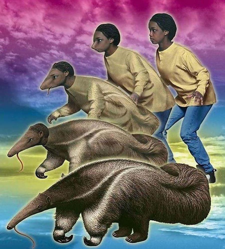 ¿Recuerdas los Animorphs de los 90? – Famosos y Virales