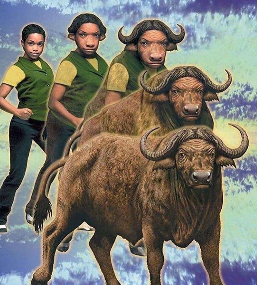 ¿Recuerdas los Animorphs de los 90? – Famosos y Virales