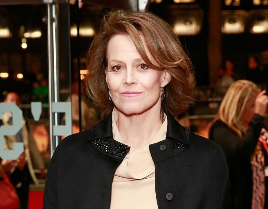 10 actrices inteligentes que nunca supiste que tenían títulos avanzados ...
