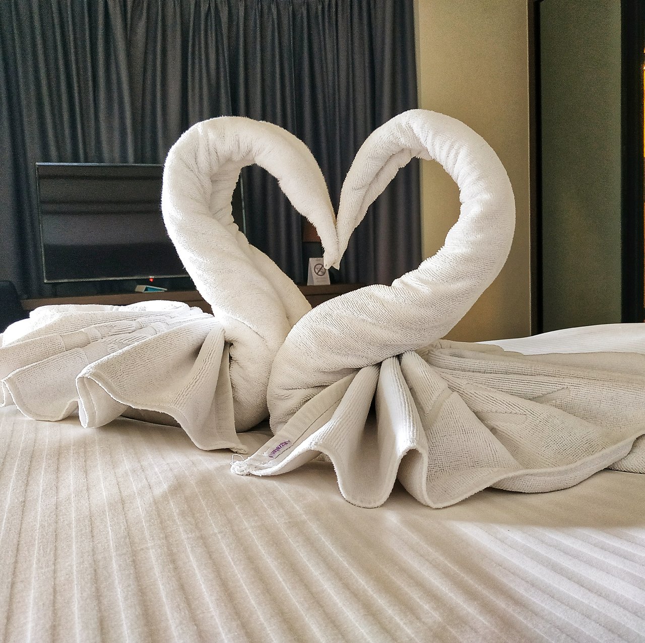 14 increíbles ejemplos de arte del origami con toallas – Famosos y Virales