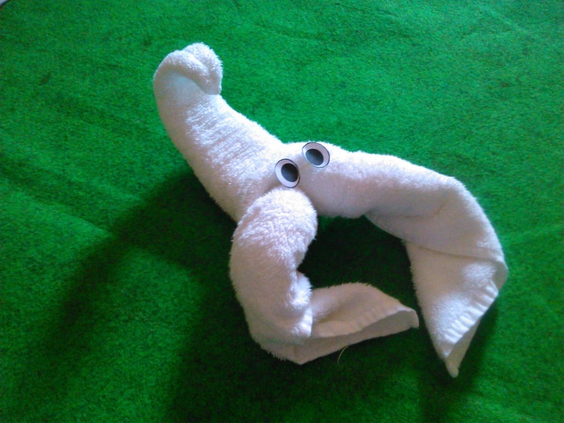 14 increíbles ejemplos de arte del origami con toallas – Famosos y Virales